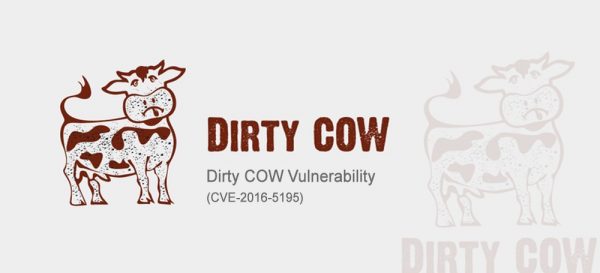 Dirty COW Vulnerability ( CVE-2016-5195 ) - Xieles Support