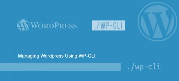 Managing Wordpress Using WP-CLI - Xieles Support